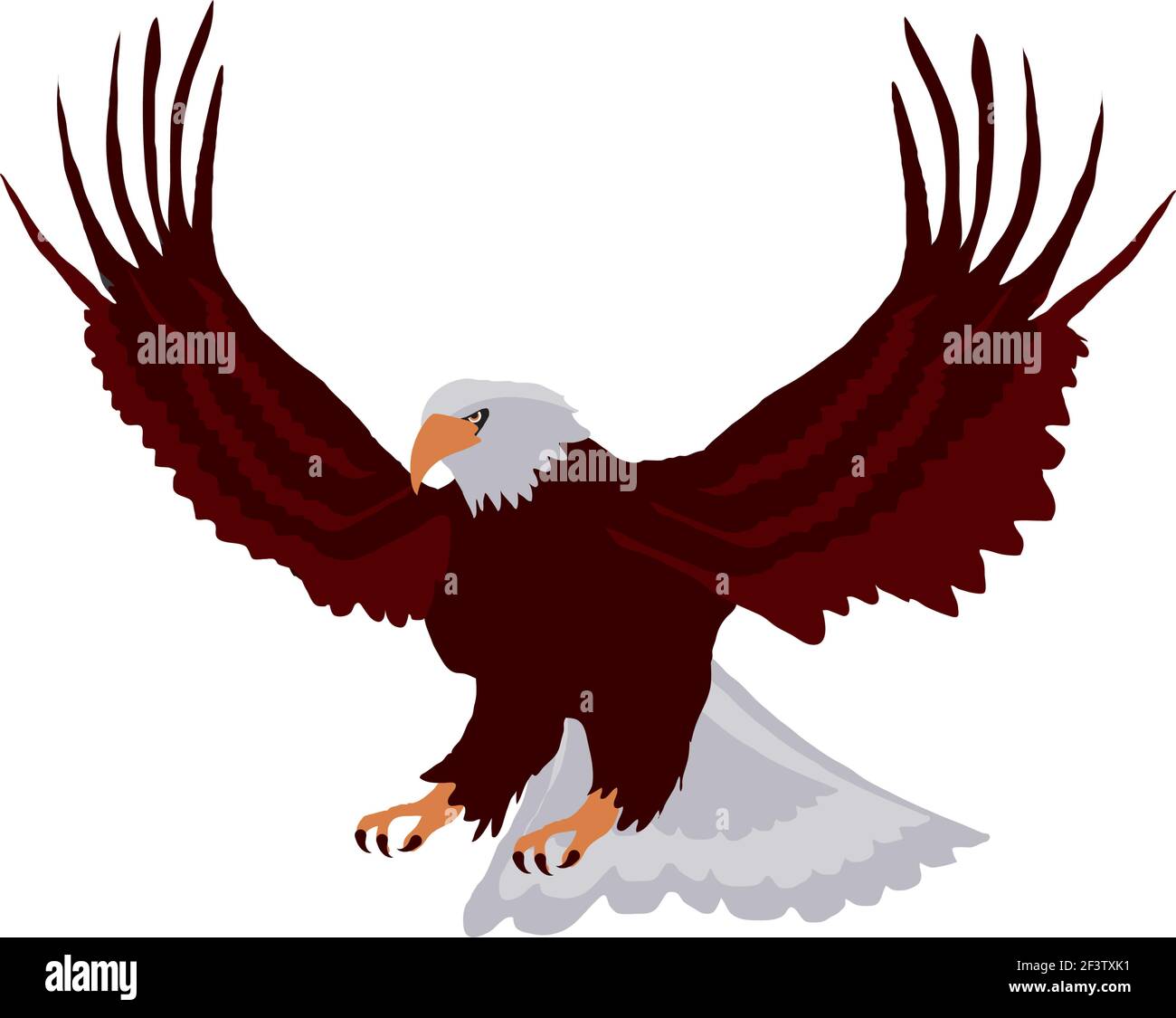 bald eagle bird predator isolated Stock Vector Image & Art - Alamy