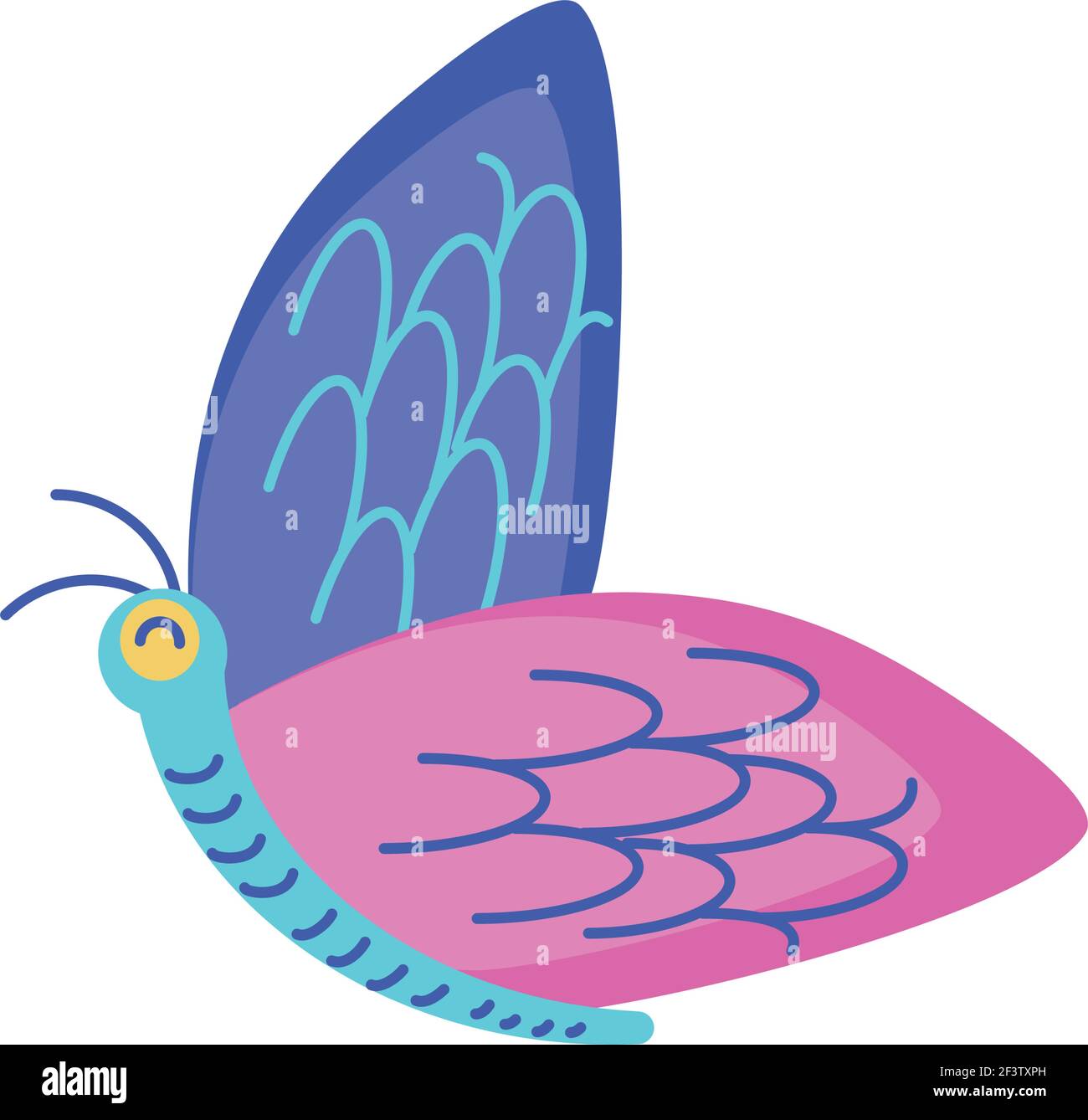 butterfly insect cartoon animal isolated Stock Vector Image & Art - Alamy