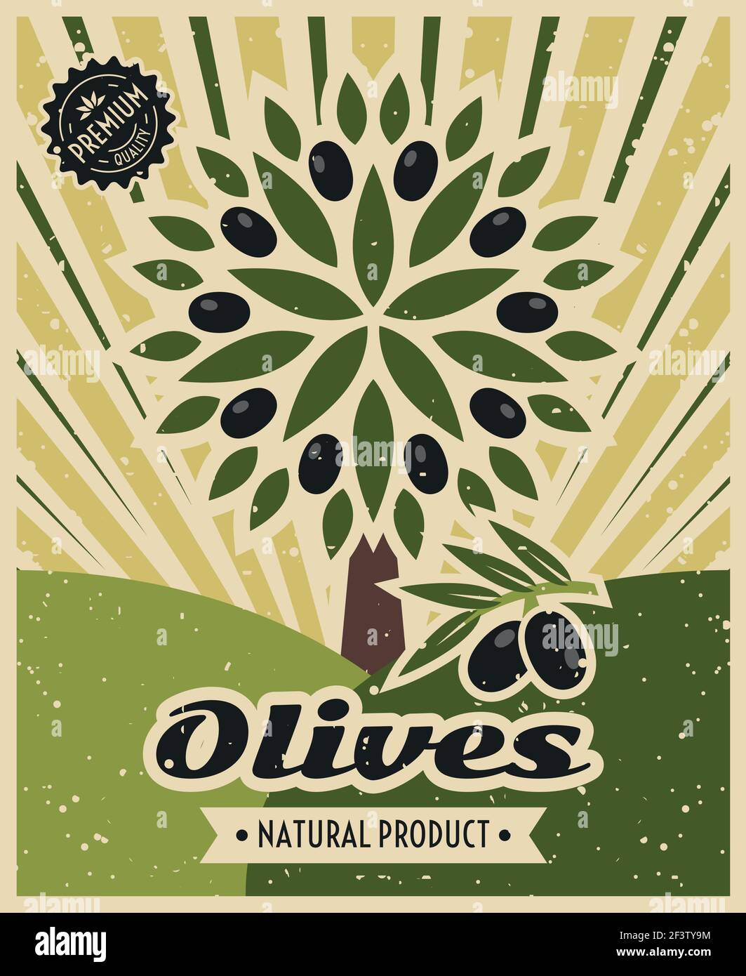 Vintage olive vector poster template design. Retro banner witn olive ...