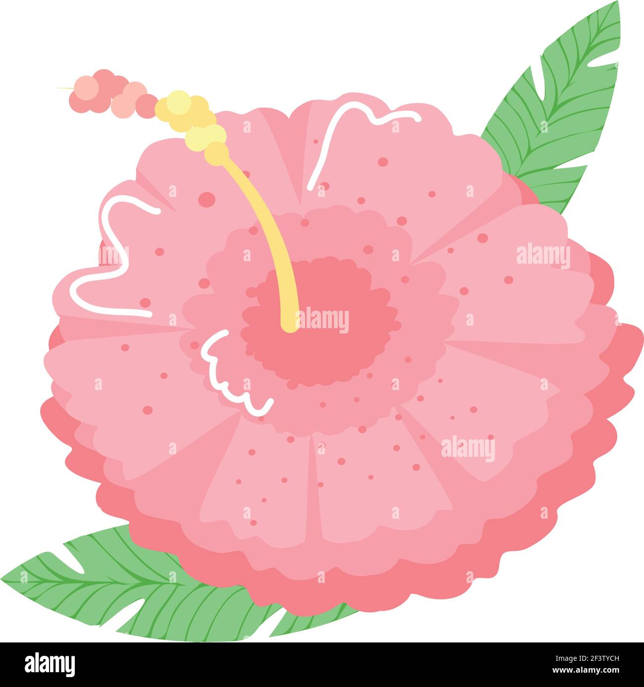 Hibiscus pink bush Stock Vector Images - Alamy