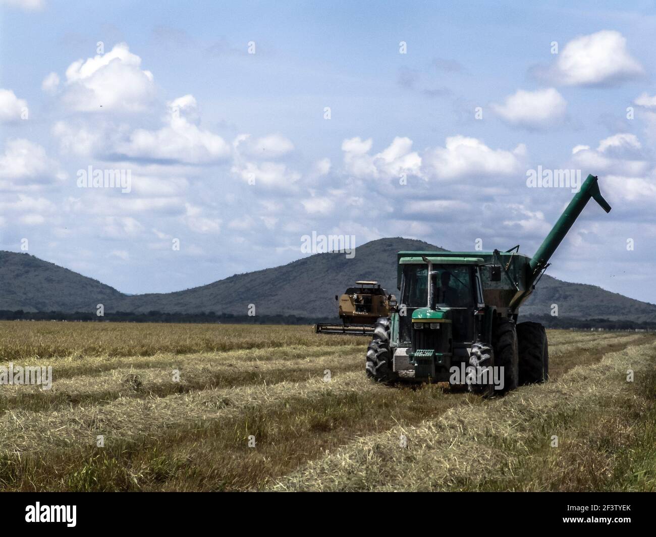 combines harvester harvesting rice on a bright day, in north of Brazil ...