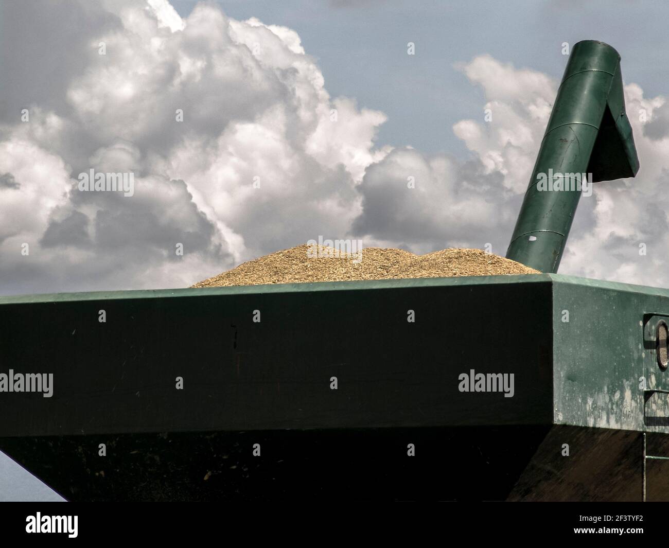 Rice farming brazil hi-res stock photography and images - Alamy