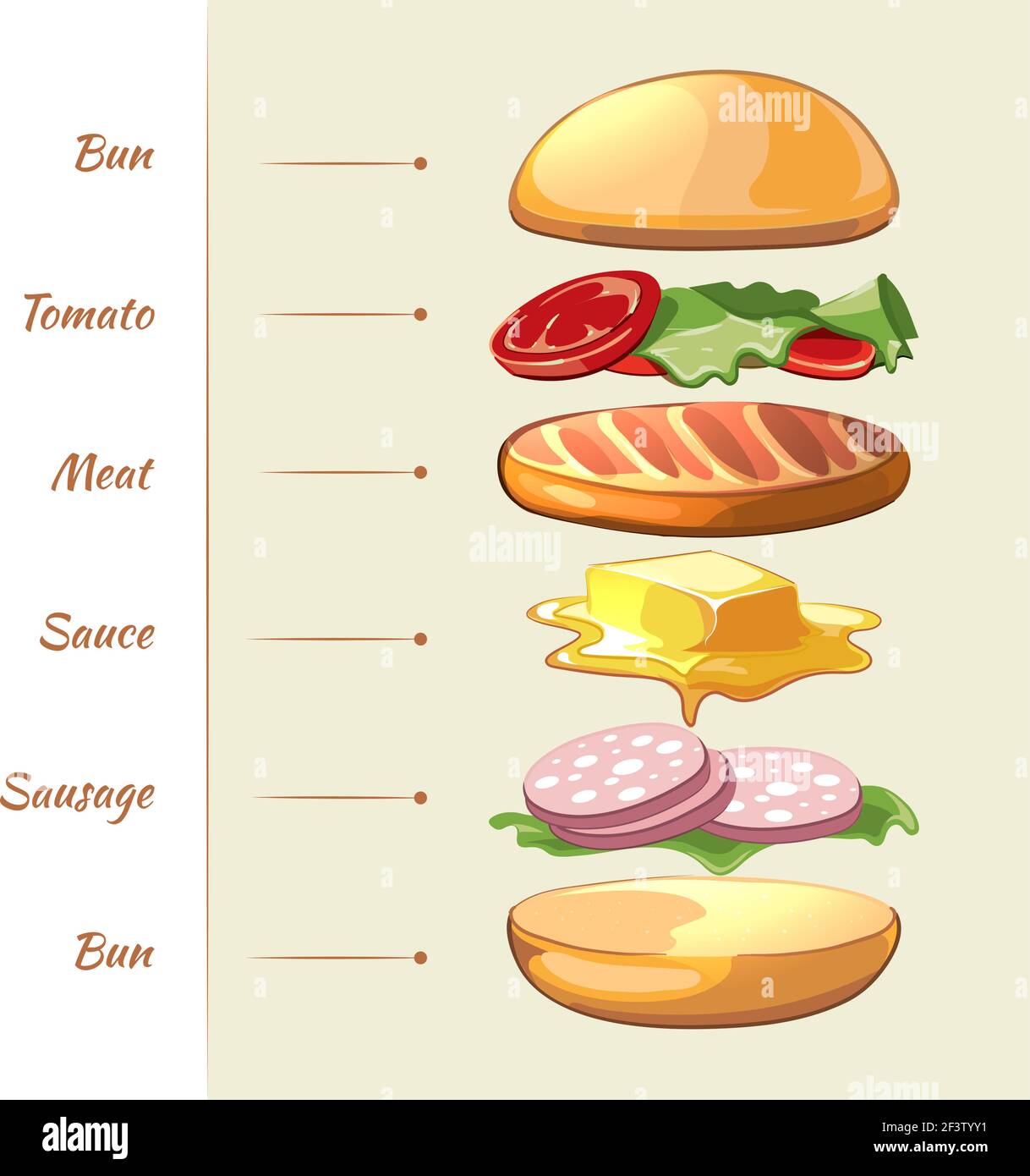 Hamburger ingredients. Vector infographics. Hamburger food, hamburger ...