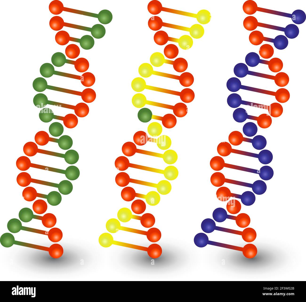 Seamless DNA strands Stock Vector Image & Art - Alamy