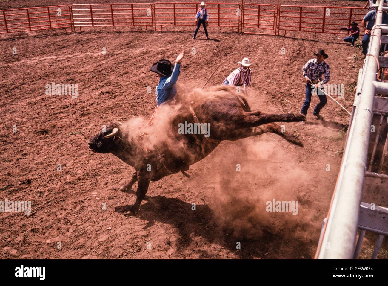 Rodeo protection athlete hi-res stock photography and images - Alamy