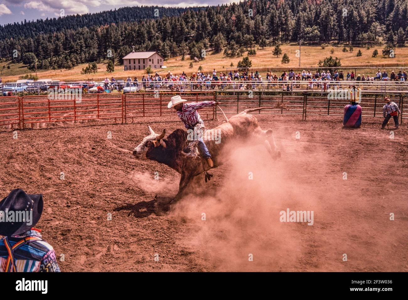 Rodeo protection athlete hi-res stock photography and images - Alamy