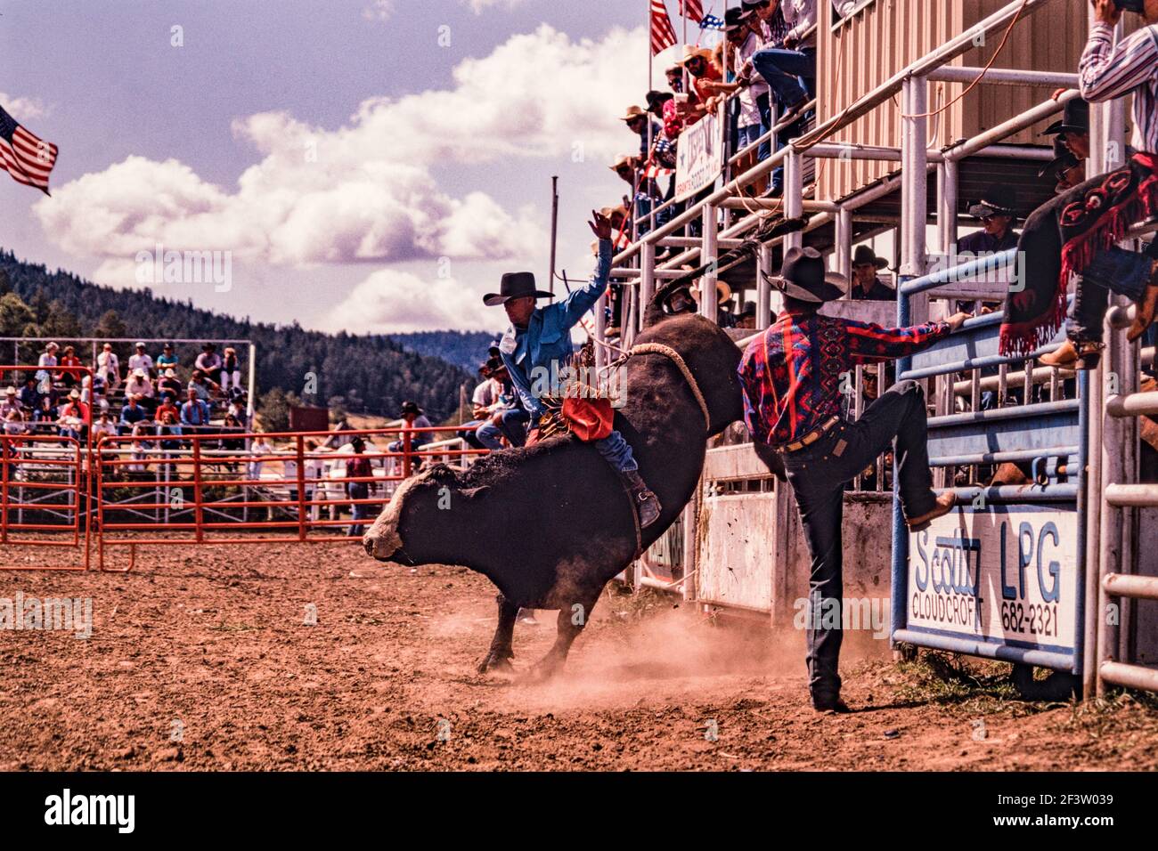 American rodeo bull flag hi-res stock photography and images - Alamy