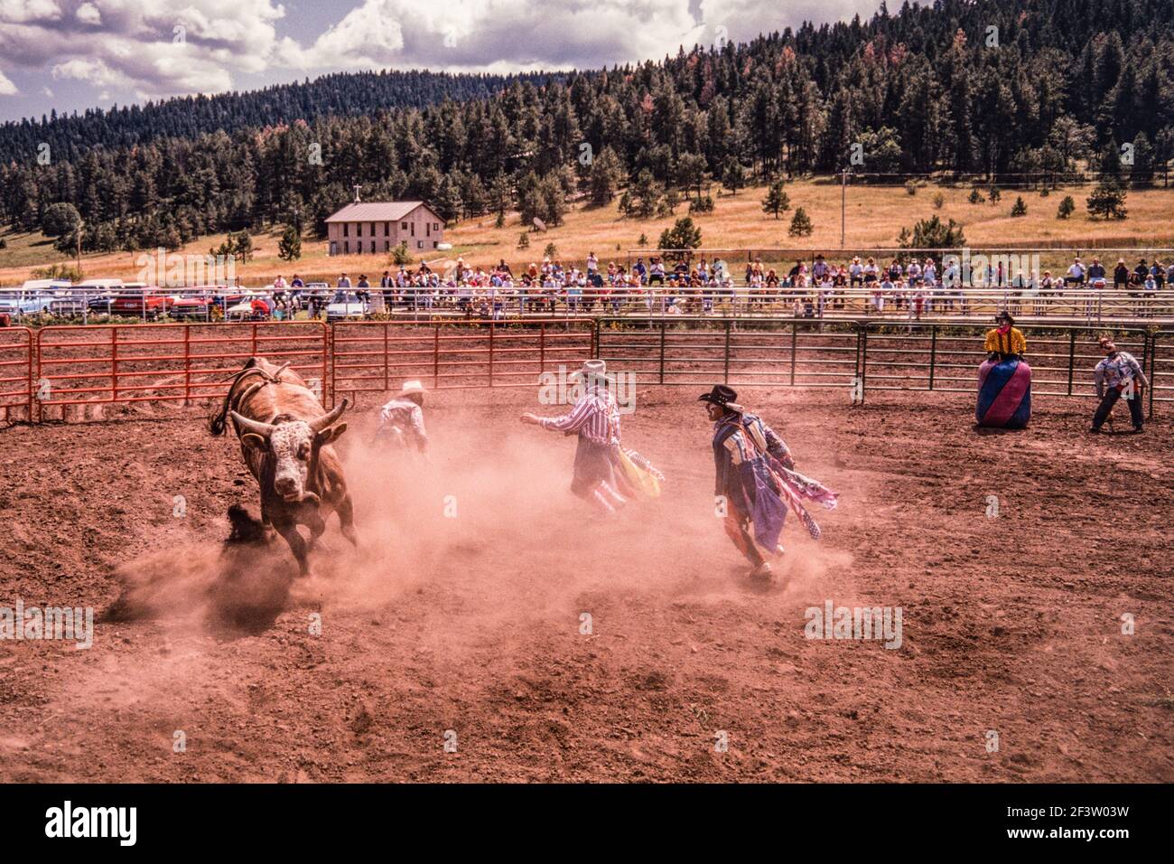 The rodeo clowns or bullfighters distract the bull to protect the ...