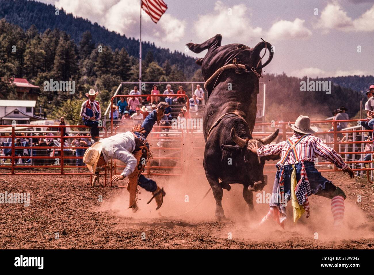 A cowboy in a bull-riding competition gets bucked off in a small-town ...
