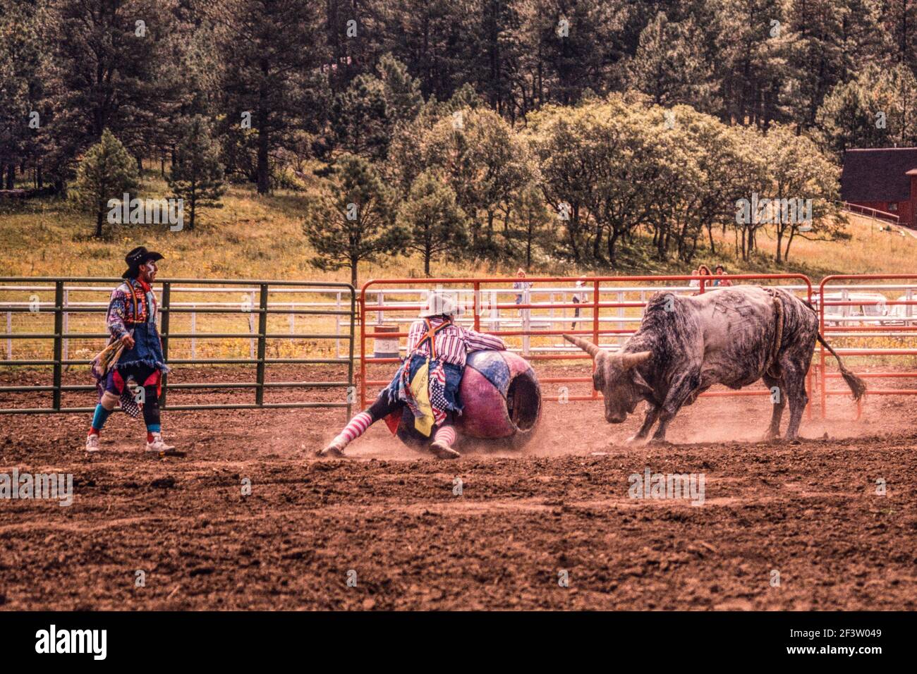 Bullfighter rodeo bull hi-res stock photography and images - Alamy