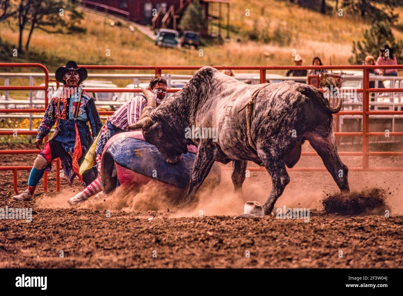 A rodeo clown or bullfighter entertains the crowd at a rodeo by teasing ...