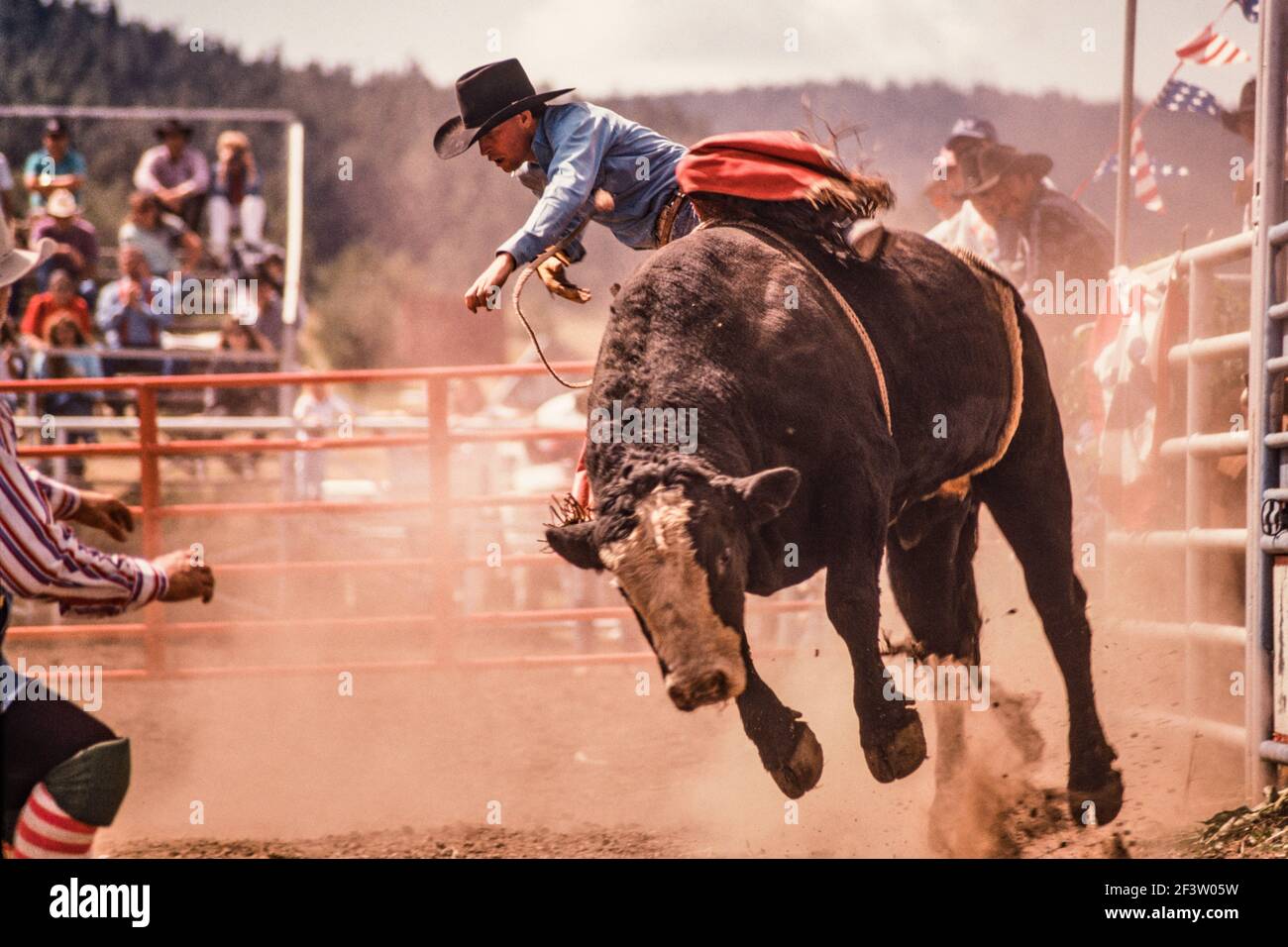 A cowboy in a bull-riding competition loses his seat and starts to get ...