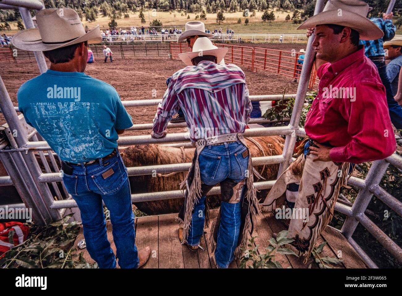 Cowboys competing in the bull-riding event wait while looking over a ...
