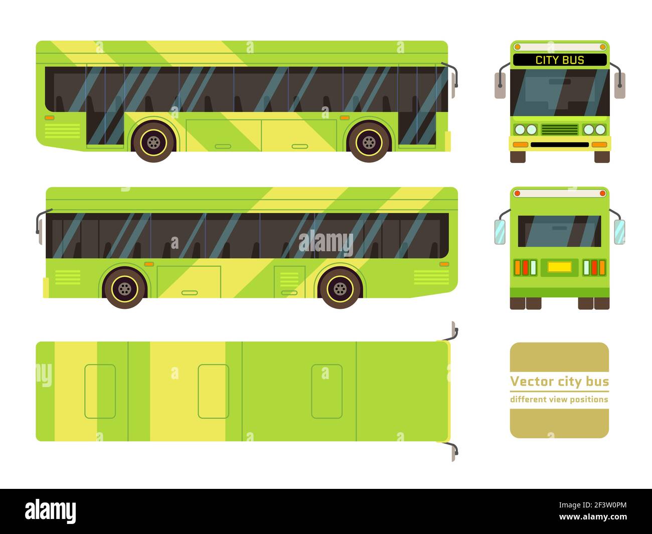 Vector city bus in different view positions. Front and side vehicle ...