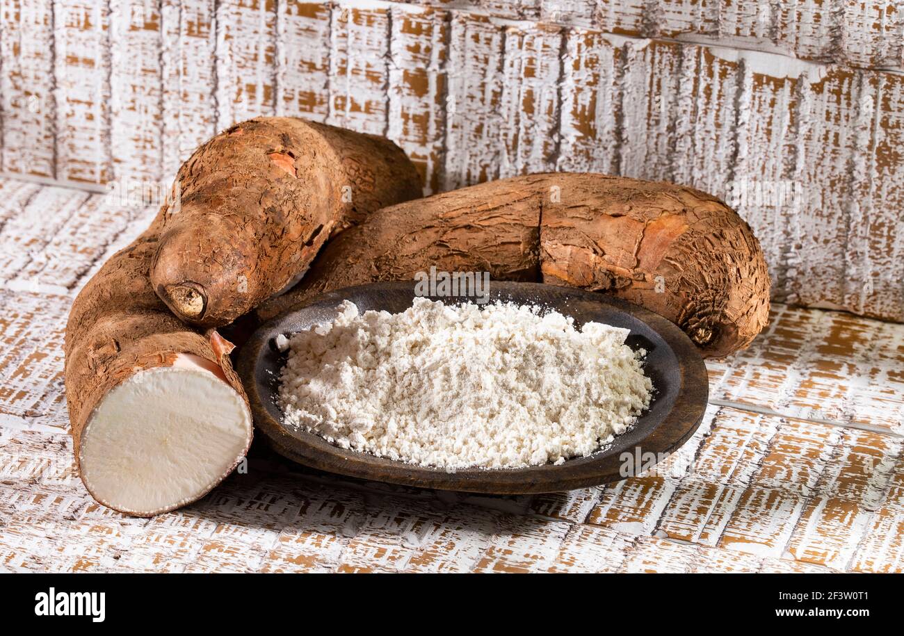 Raw yucca starch - Manihot esculenta Stock Photo - Alamy