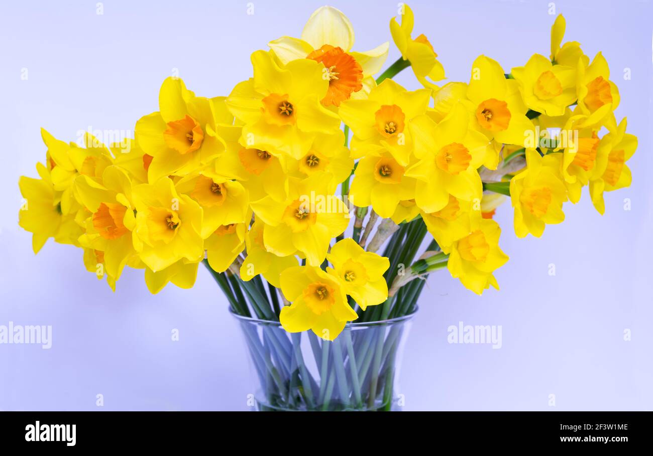 Cheerful yellow hi-res stock photography and images - Alamy