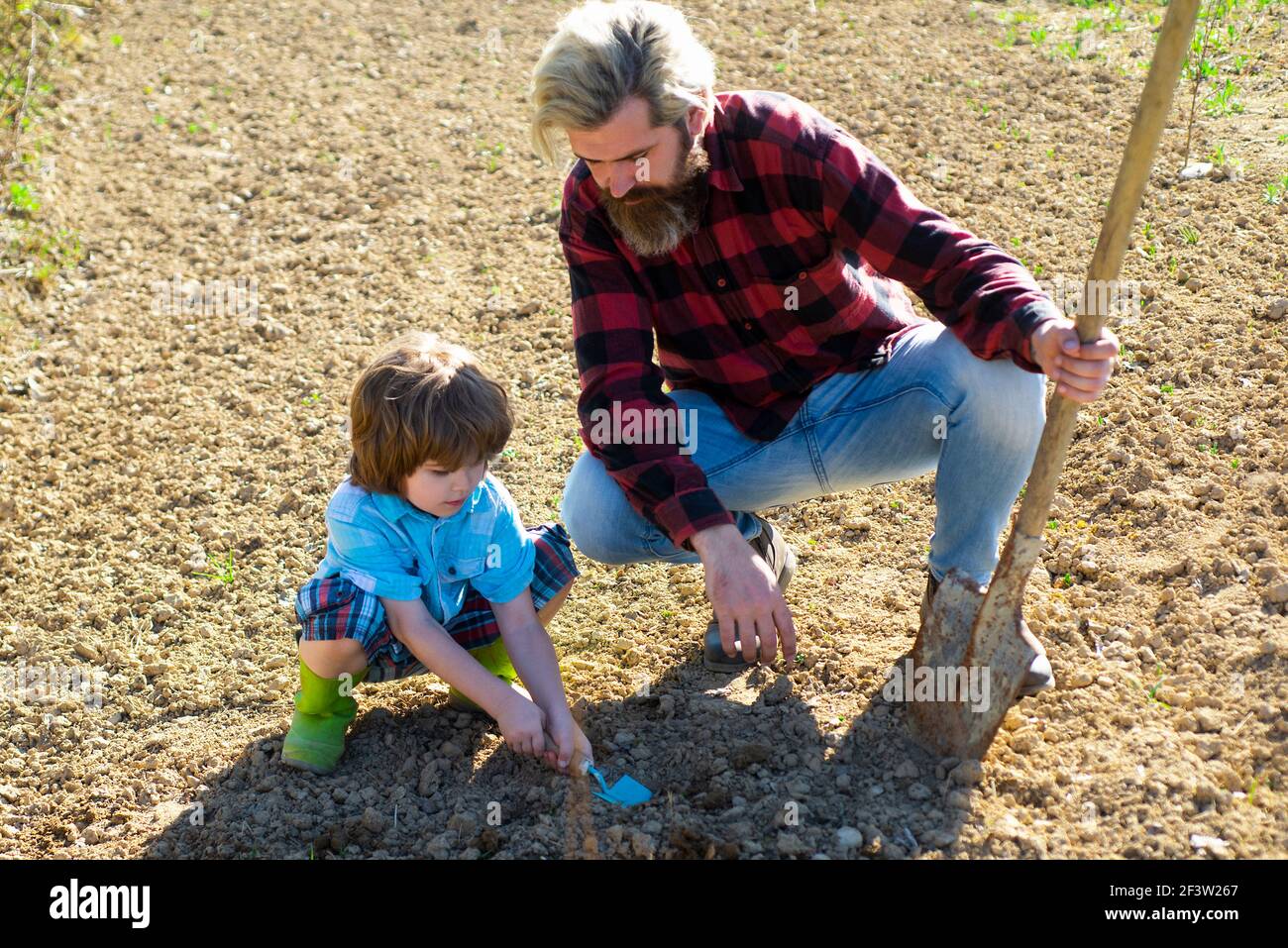 Father planting with son. Dad and kid gardening in garden ground ...