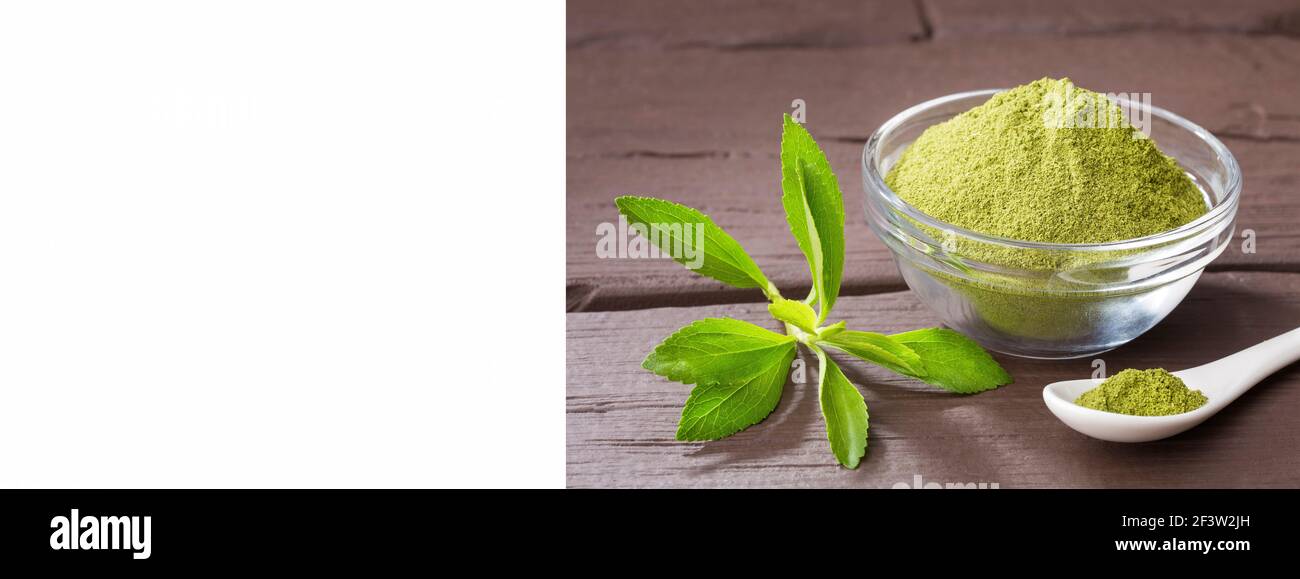 Stevia rebaudiana - Natural sweetener in powder from stevia plant Stock ...