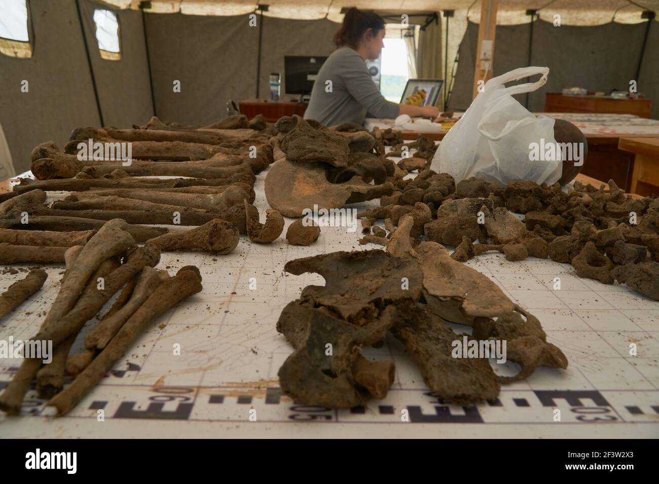 Kalinin Front High Resolution Stock Photography and Images - Alamy