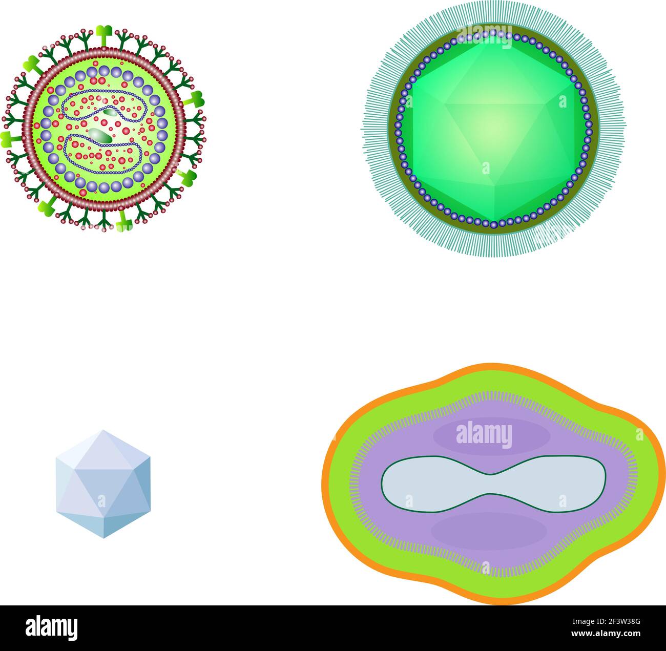 bacteria and virus cells isolated Stock Vector Image & Art - Alamy