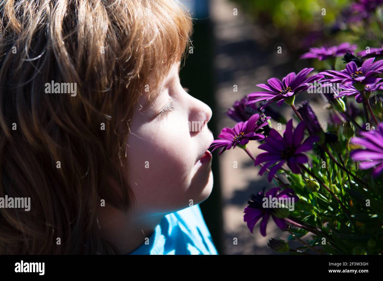 Kids allergy free. Little boy smelling flower outdoor. Kid sniffing ...