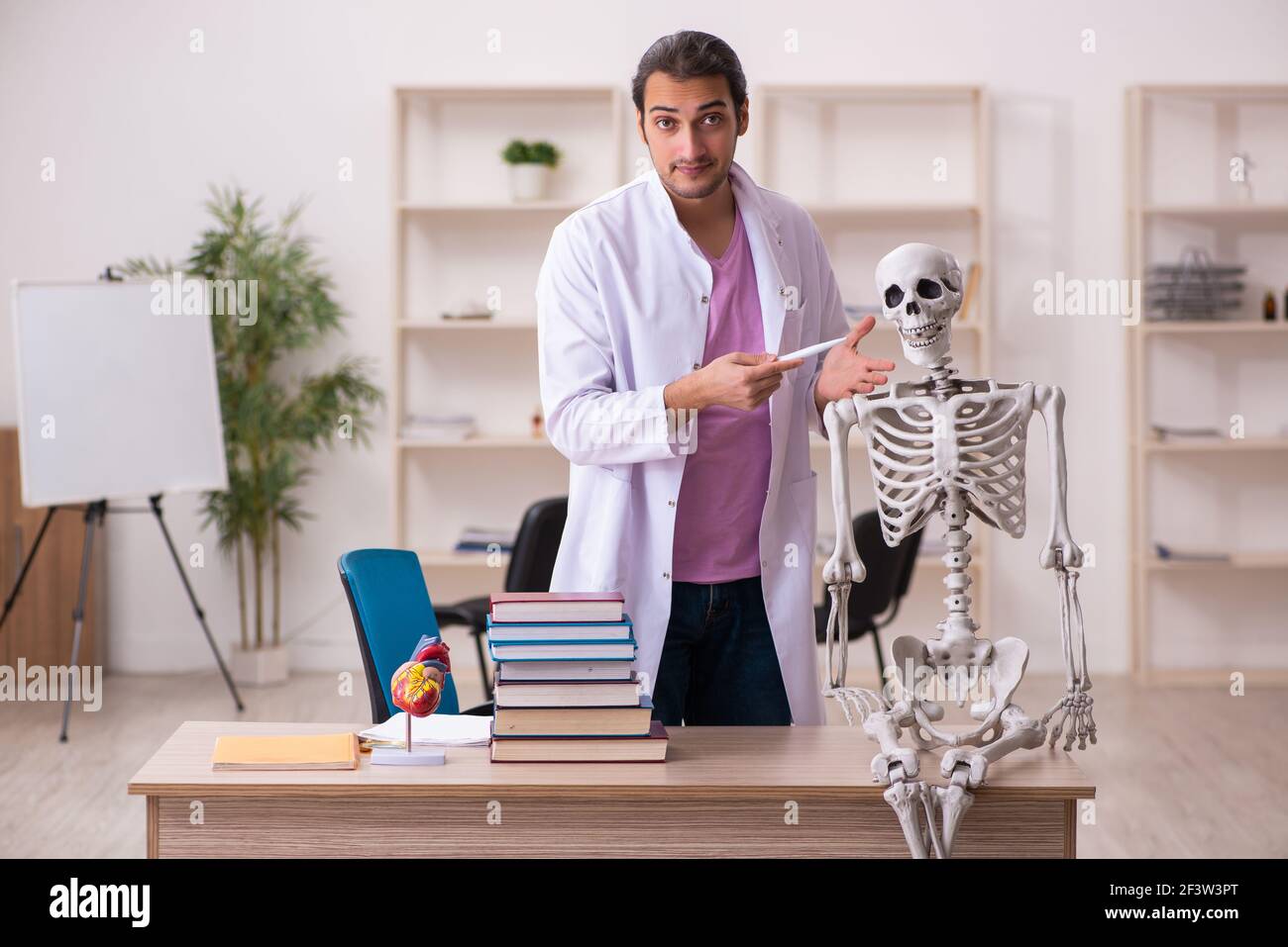 Young doctor student studying human skeleton in the classroom Stock ...