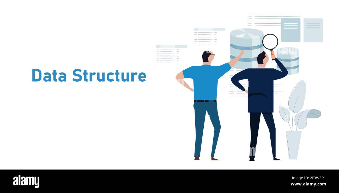 data structure database analyst looking into schema information Stock ...