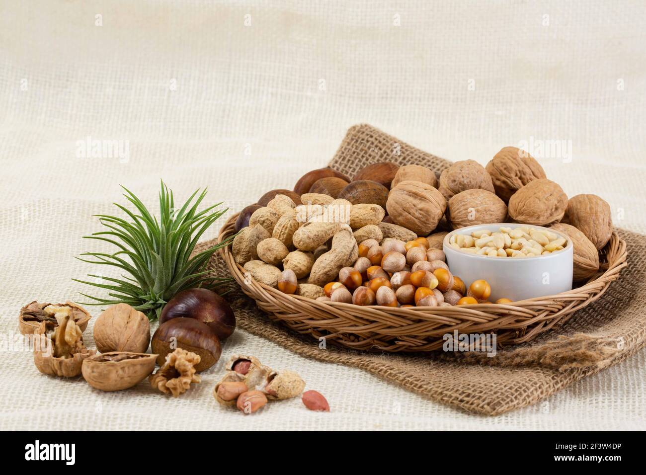 mix of pine nuts, walnuts, ginkgo nuts, chestnuts, peanuts Stock Photo ...
