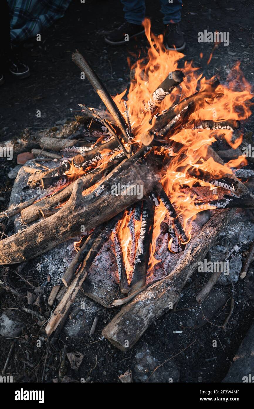 Fireplace in nature with wood and embers ready for grilling Stock Photo ...