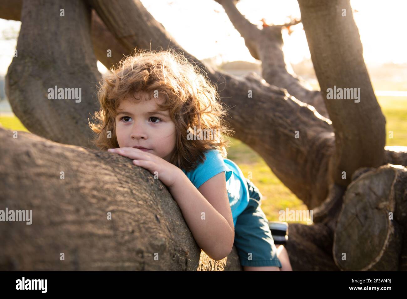 Cute caucasian kid boy happily lying in a tree hugging a big branch ...