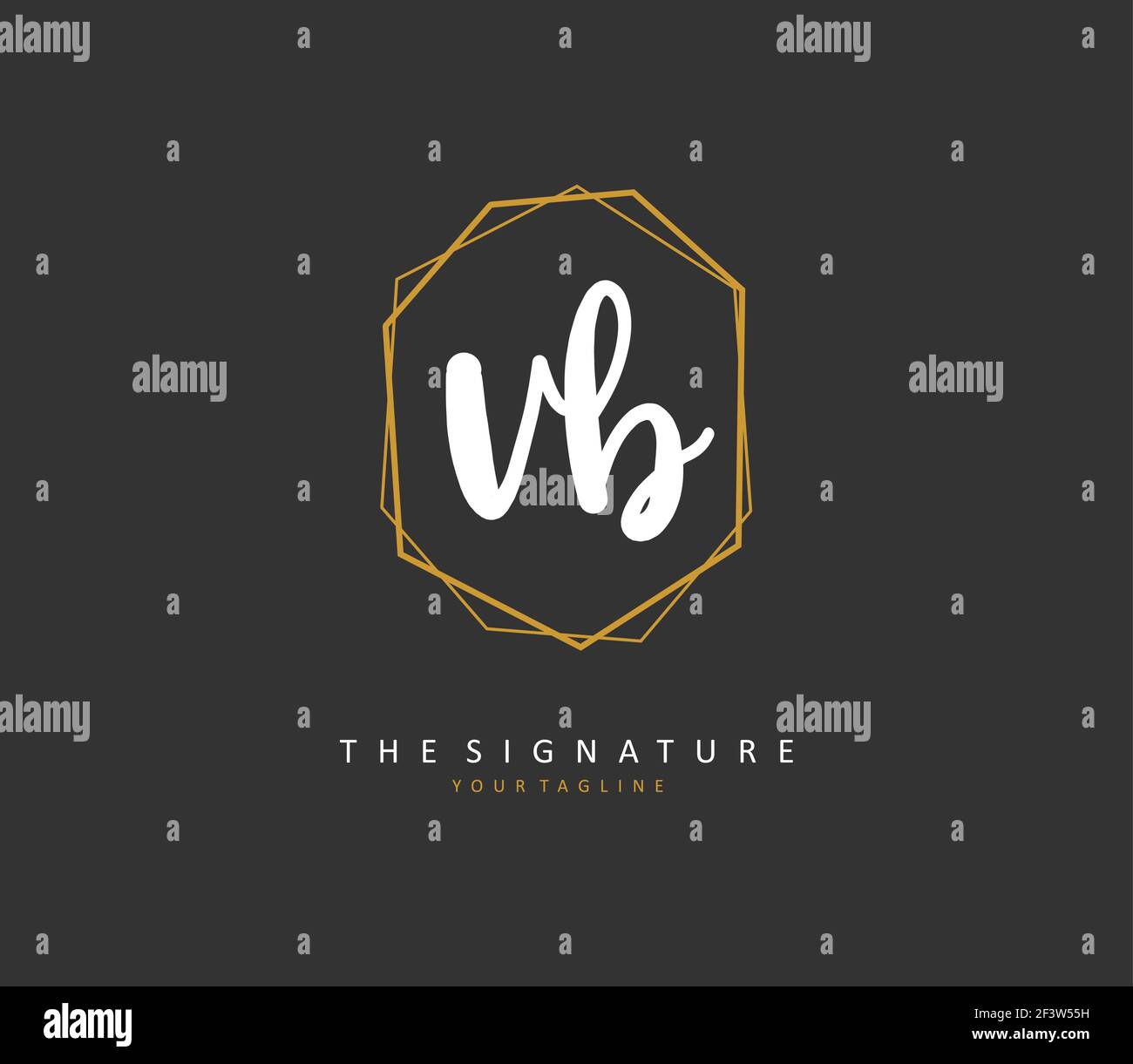 V B VB Initial letter handwriting and signature logo. A concept ...