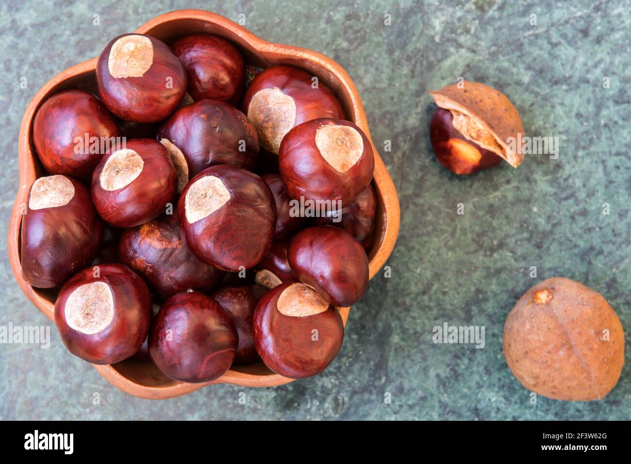Buckeye Chestnut in wooden bowl on marble surface. Top View formation ...