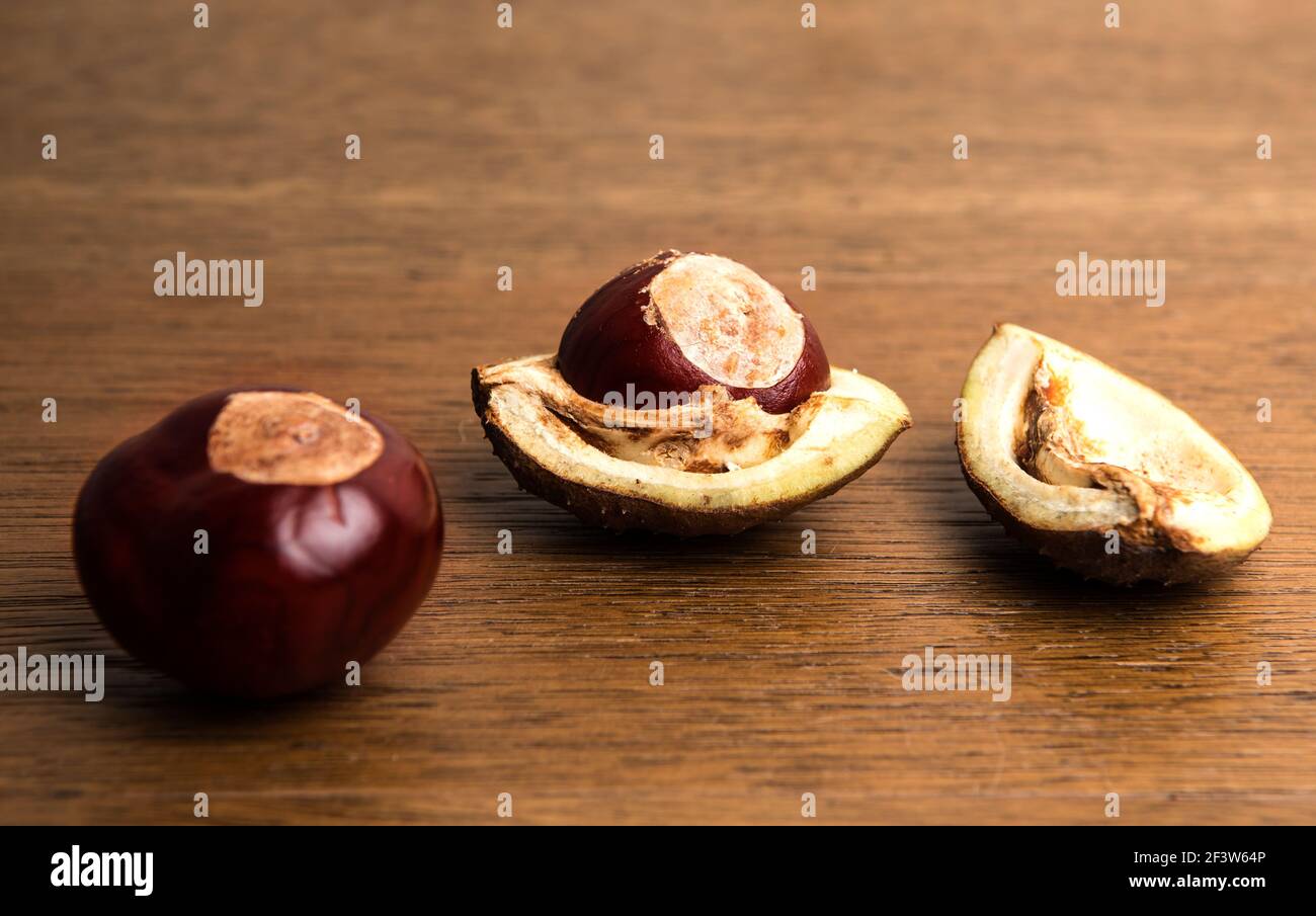 Buckeye Chestnut and conker in shell on wood Stock Photo - Alamy