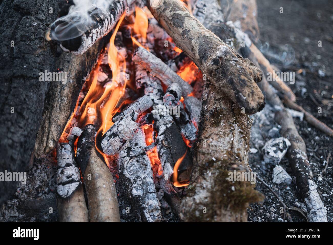 Fireplace in nature with wood and embers ready for grilling Stock Photo ...