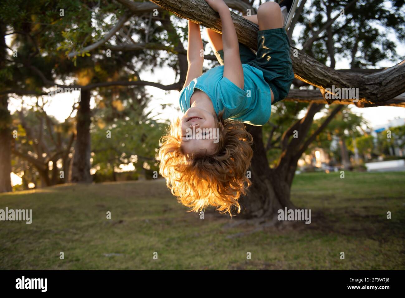 Child climb a tree, kid playing in a park and climbing. Little boy ...