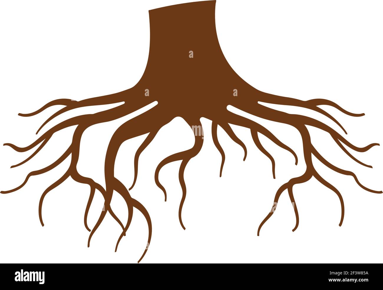 Flower root seed Stock Vector Images - Alamy