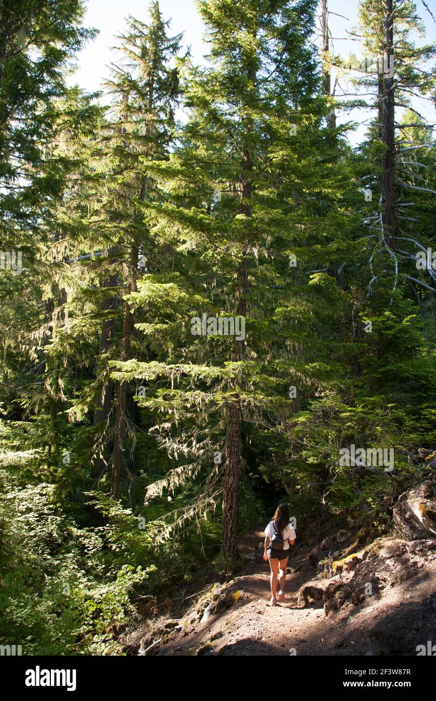 Girl on a hiking trail with tall trees towering above Stock Photo - Alamy