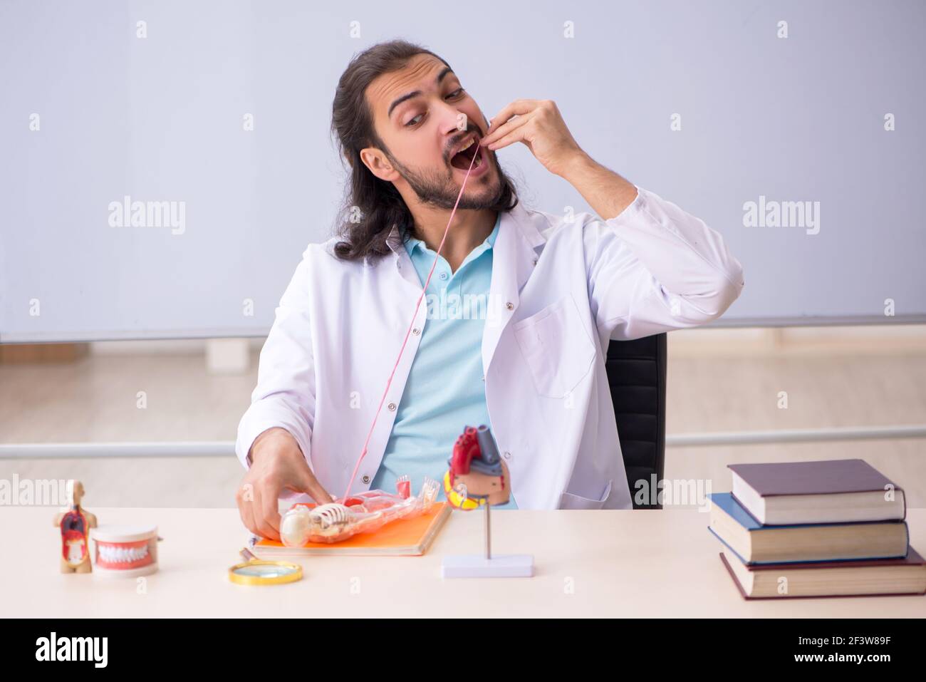 Young student studying human anatomy Stock Photo - Alamy