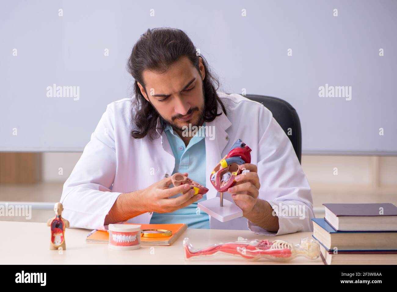 Young student studying human anatomy Stock Photo - Alamy