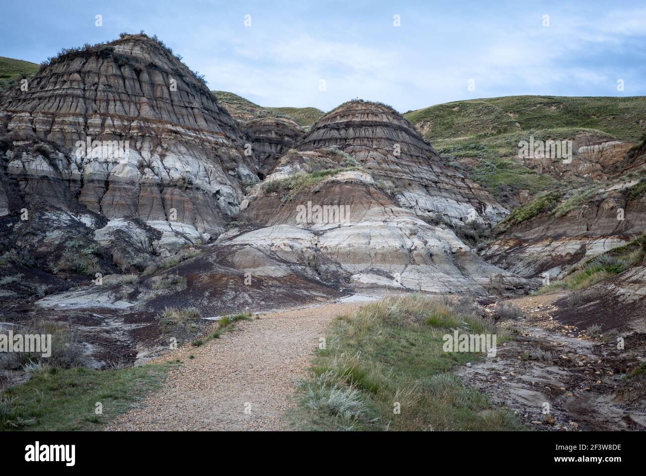 view of Dinosaur Provincial Park, Alberta, Canada, near Drumheller ...