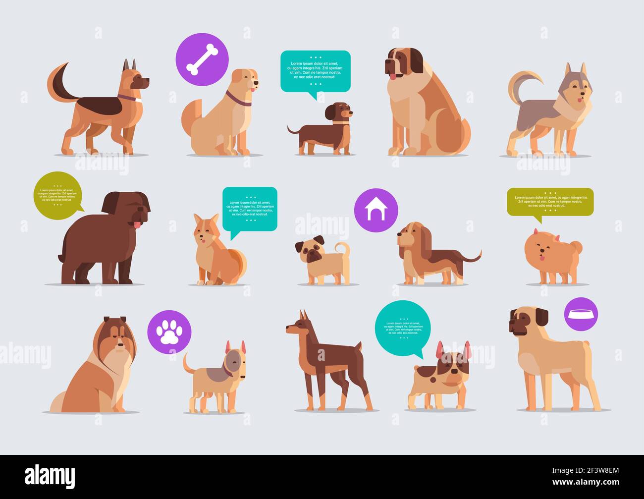 set purebred dogs furry human friends home pets collection concept ...