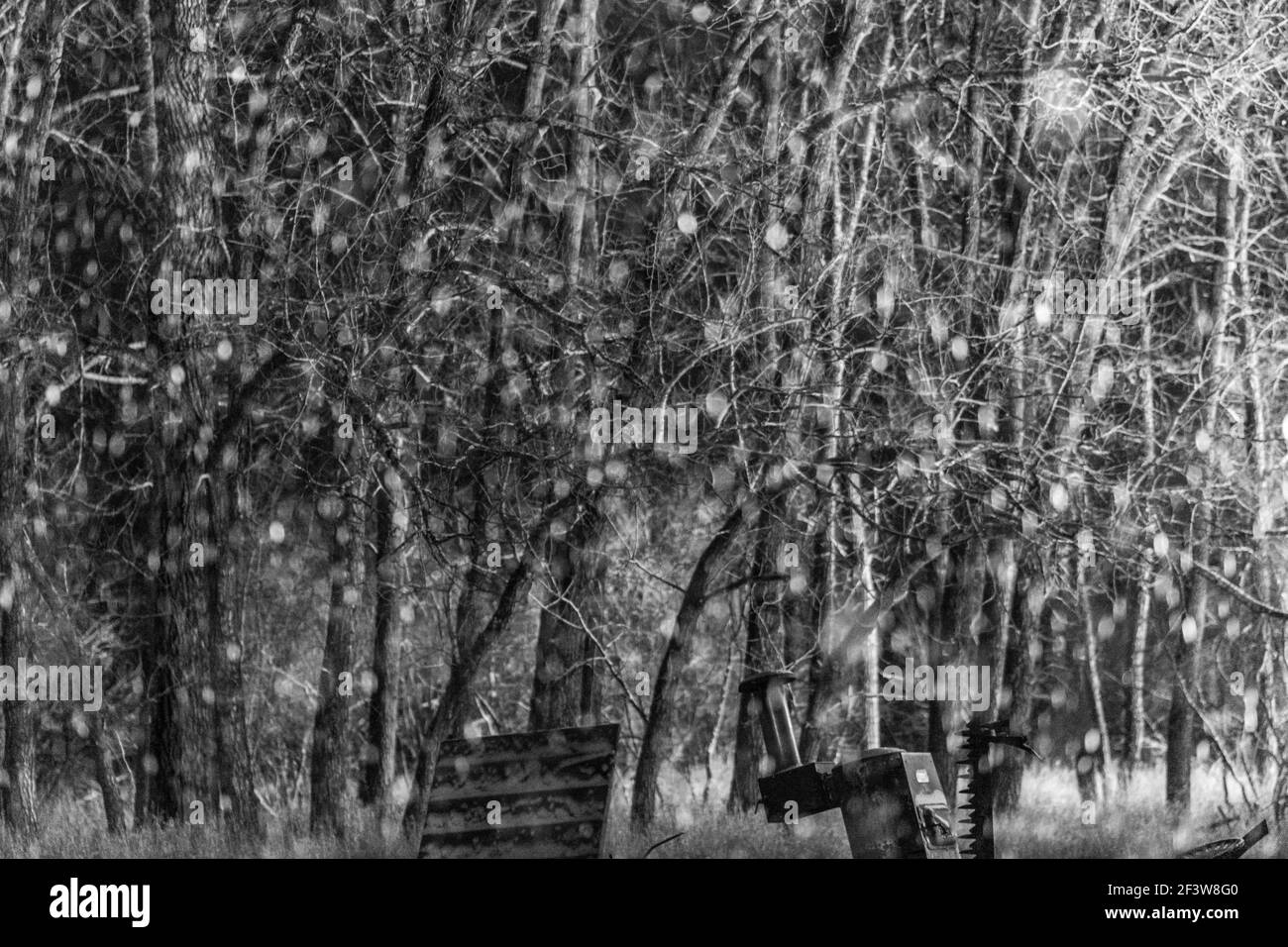 Snow falling at night hi-res stock photography and images - Alamy
