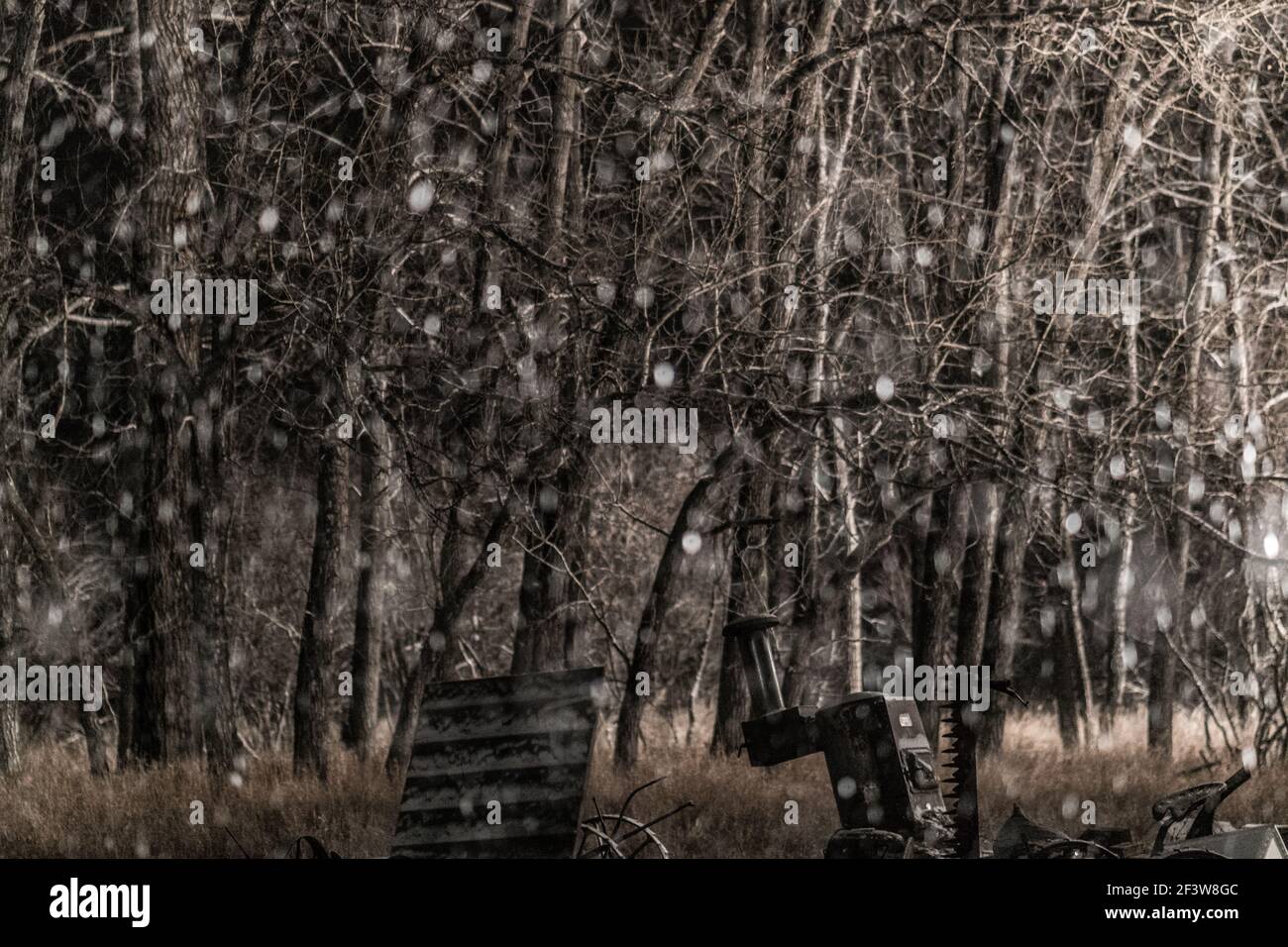 Snow falling at night hi-res stock photography and images - Alamy