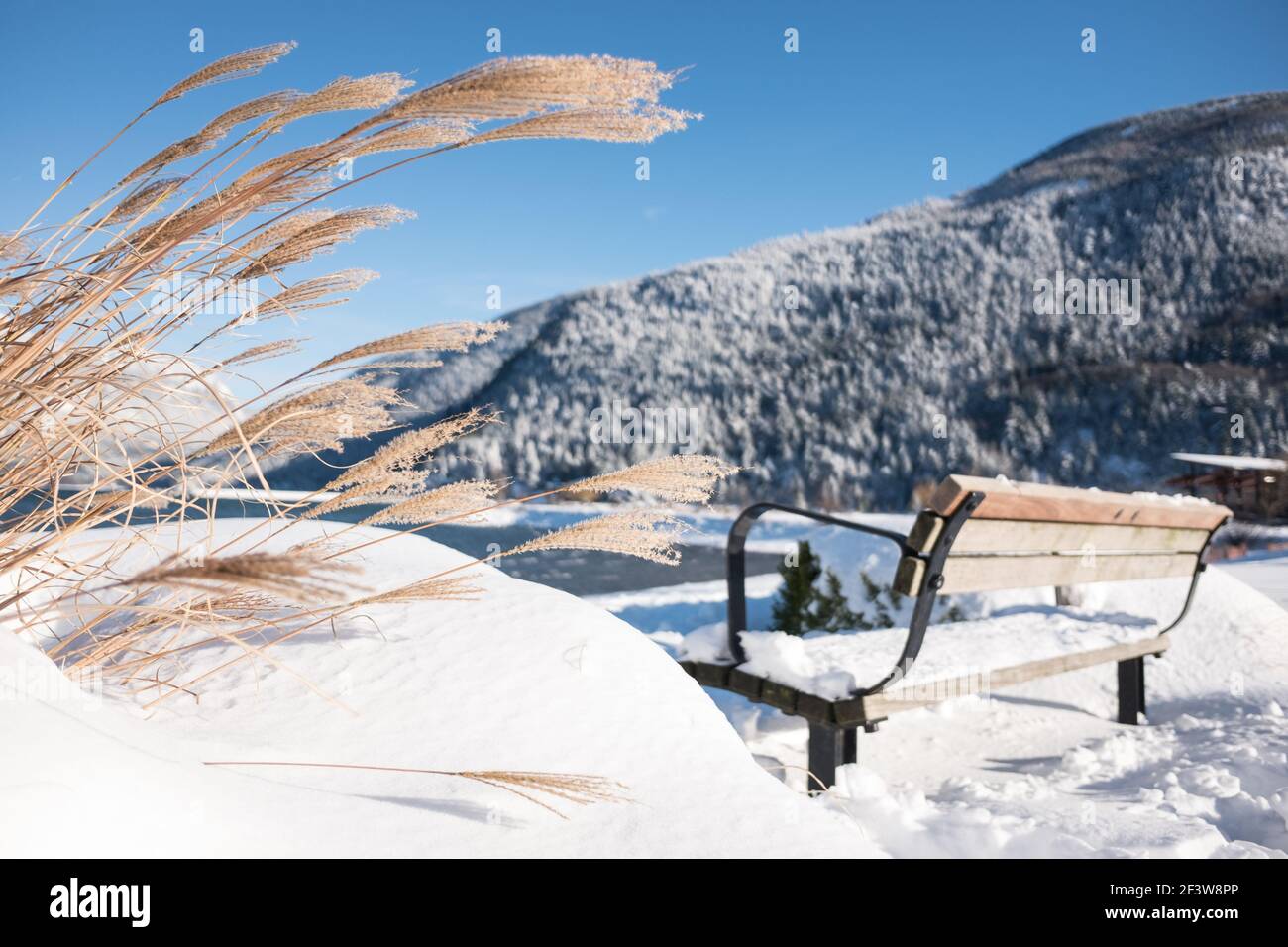 winter view of Lake Harrison, Harrison Hot Springs, British Columbia ...