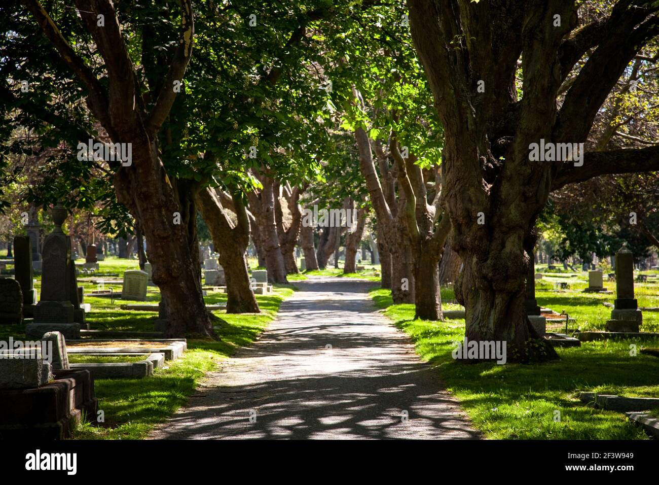 Victoria ross bay cemetery hi-res stock photography and images - Alamy