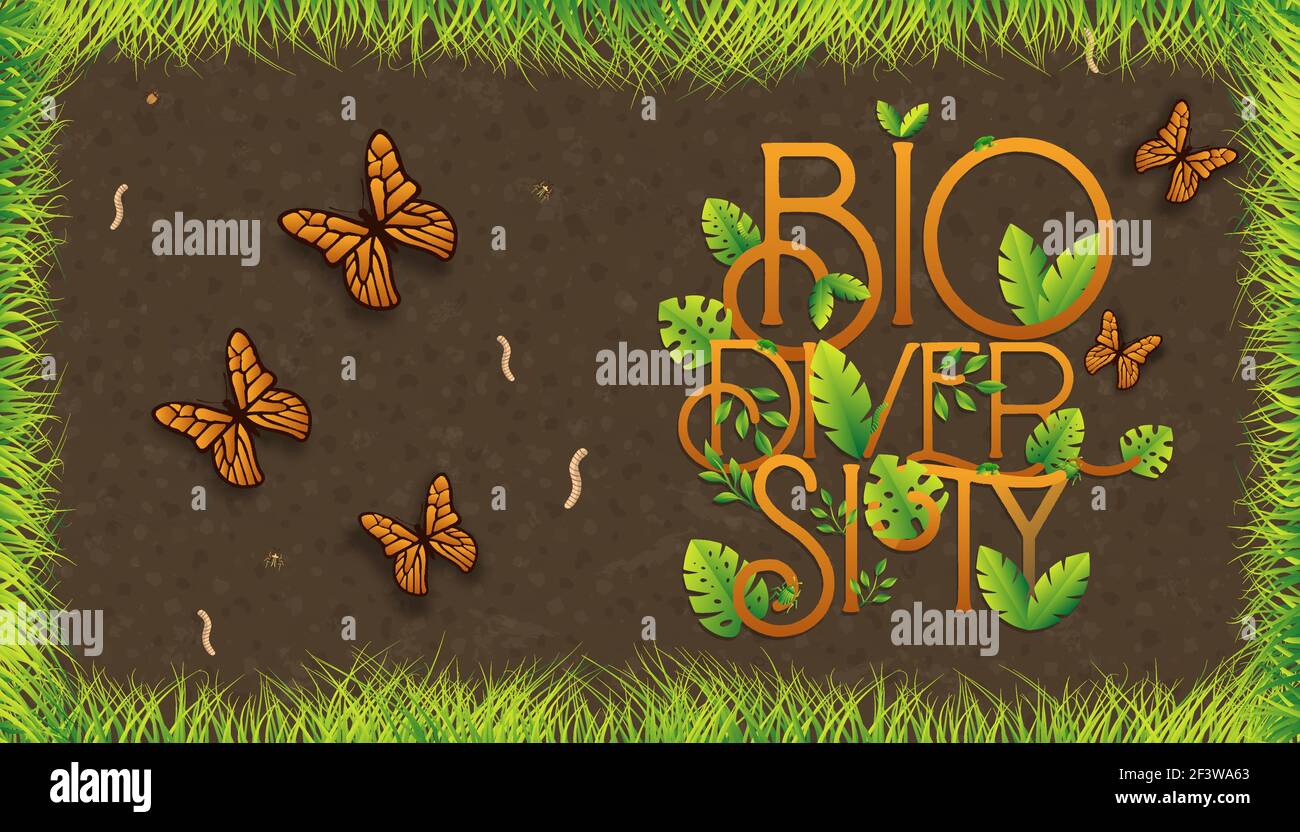 Biodiversity text quote sign made of diverse green plant leaves with ...