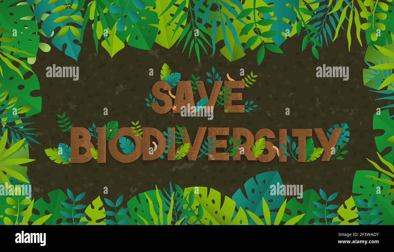 Save biodiversity text quote sign made of tree wood and diverse green ...