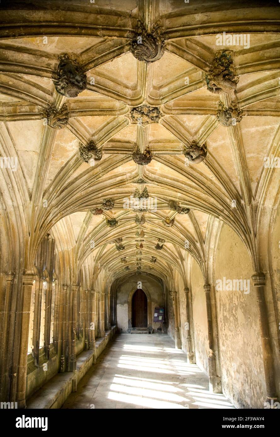 View of cloisters hi-res stock photography and images - Alamy