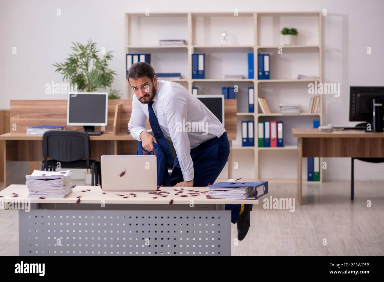 Young businessman employee and too many cockroaches in the office Stock ...