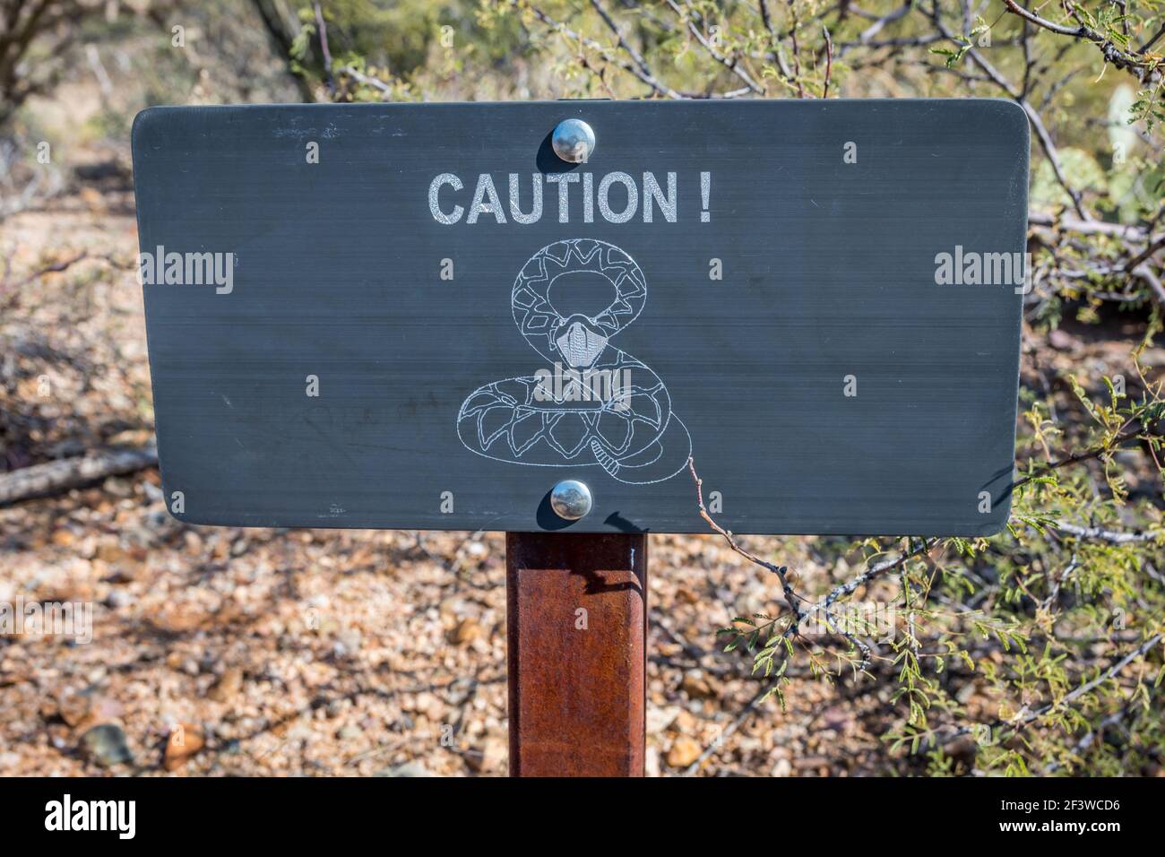 Saguaro NP, AZ, USA - November 16, 2019: A warning sign in case of ...